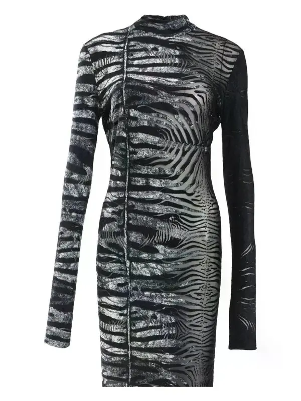 Roberto Cavalli Zebra-print Maxi Dress