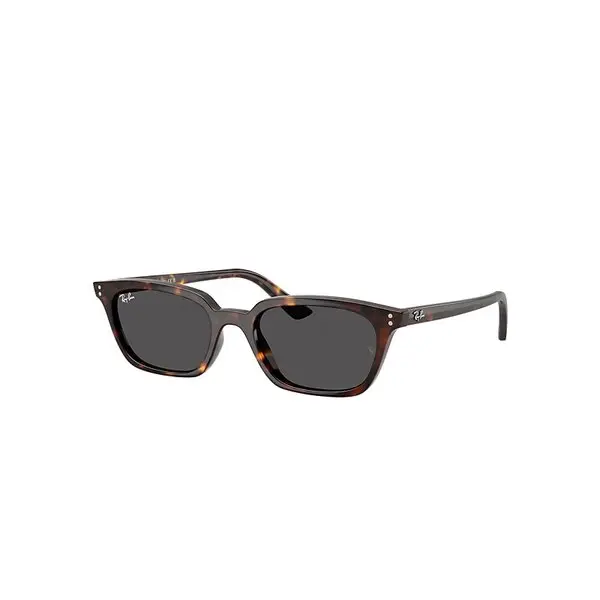 Ray-ban Zaya Bio-based Sunglasses - Havana