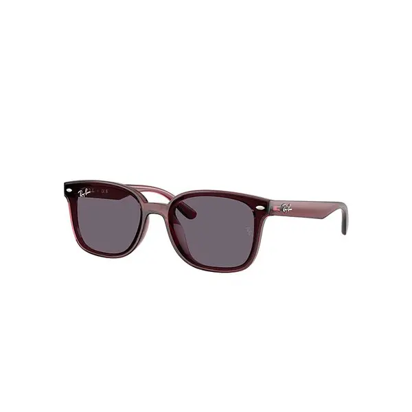 Ray-ban Rectangle Sunglasses - Transparent Dark Brown