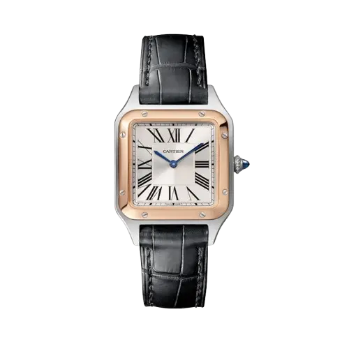 CARTIER Santos De Watch - One-color