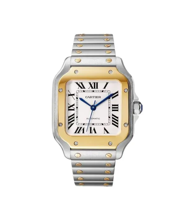 CARTIER Santos De Watch - Silver