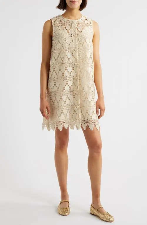 chinese dress ladies Windsor Mariella Lace A-Line Mini Dress in Black | Size: M main image 1
