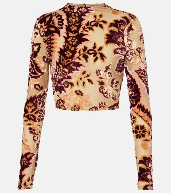 Etro Paisley Tulle And Velvet Jacquard Crop Top - Beige