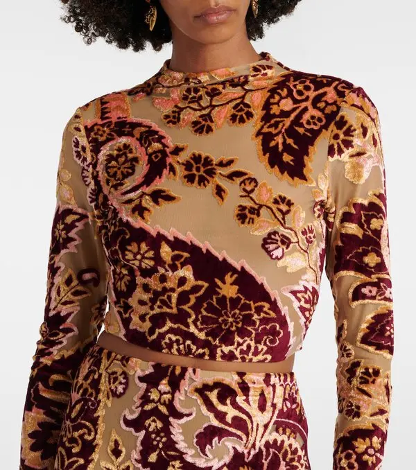 Etro Paisley Tulle And Velvet Jacquard Crop Top - Beige