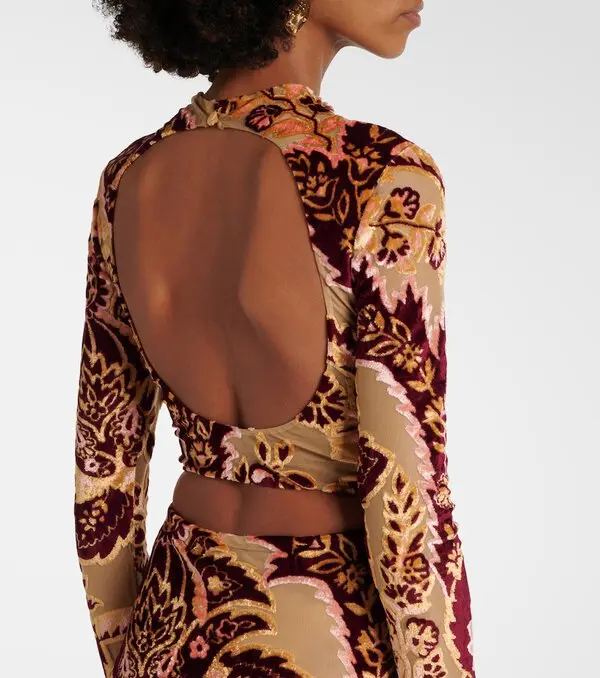 Etro Paisley Tulle And Velvet Jacquard Crop Top - Beige