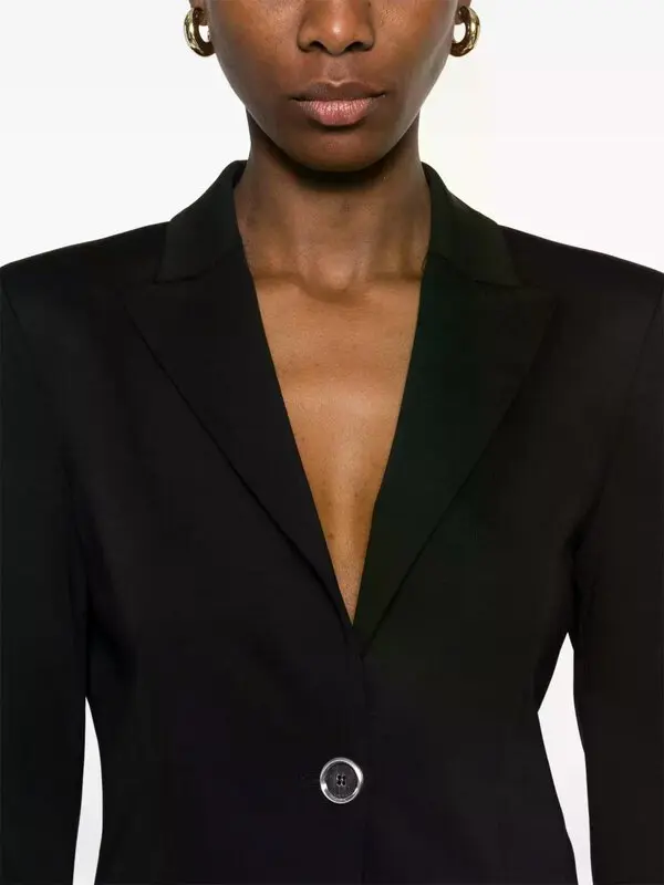 Pinko Single-breasted Blazer