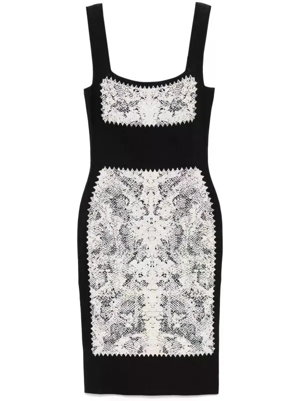 Alexander McQueen Snake Print Knit Dress