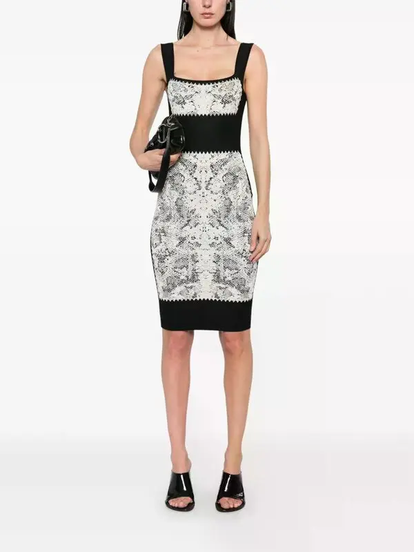 Alexander McQueen Snake Print Knit Dress