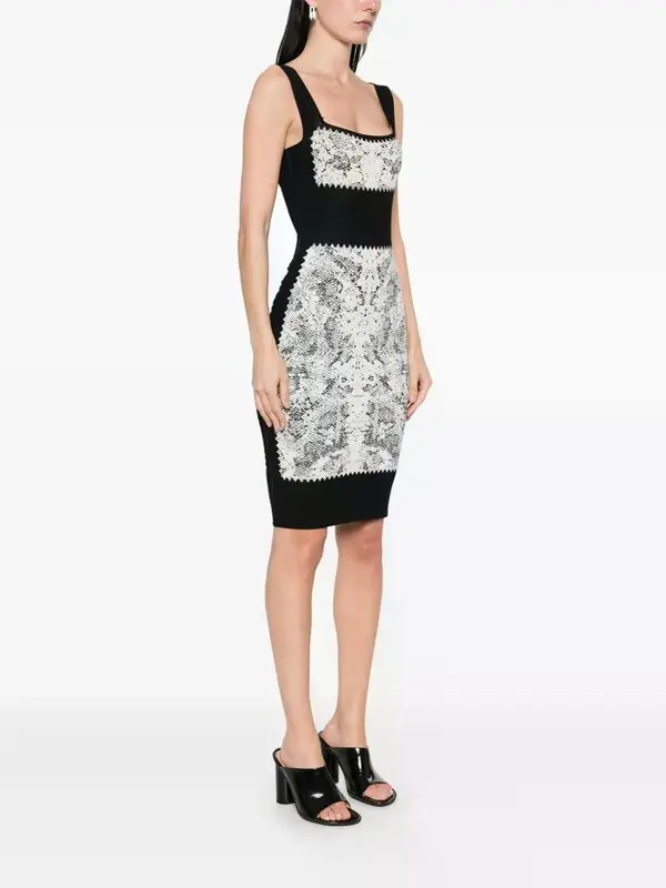 Alexander McQueen Snake Print Knit Dress