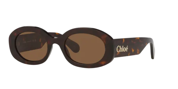 Chloé Ch0258s Sunglasses - Brown