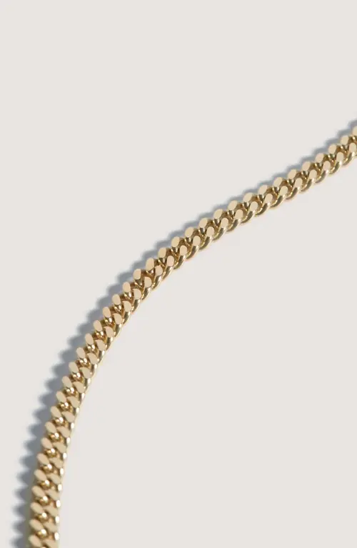 KINN Capri Curb Chain Necklace