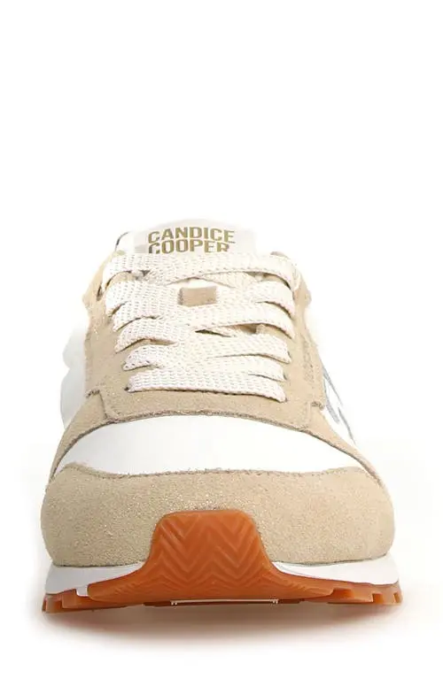CANDICE COOPER Plume 3 Sneaker - Beige White Platinum