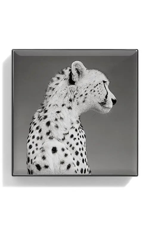 CHANTECAILLE Luminescent Eye Shades - Cheetah