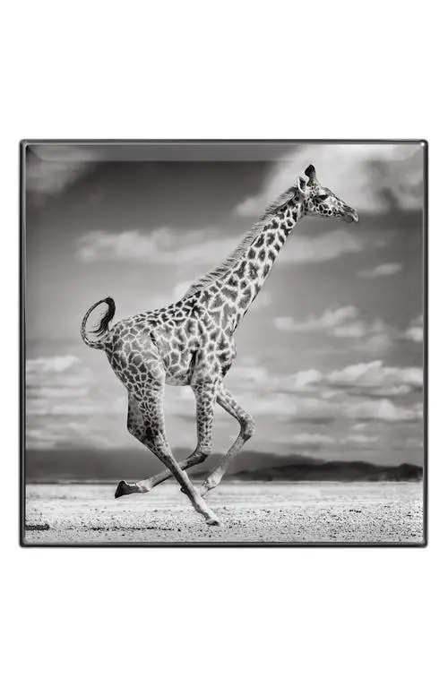 CHANTECAILLE Luminescent Eye Shades - Giraffe
