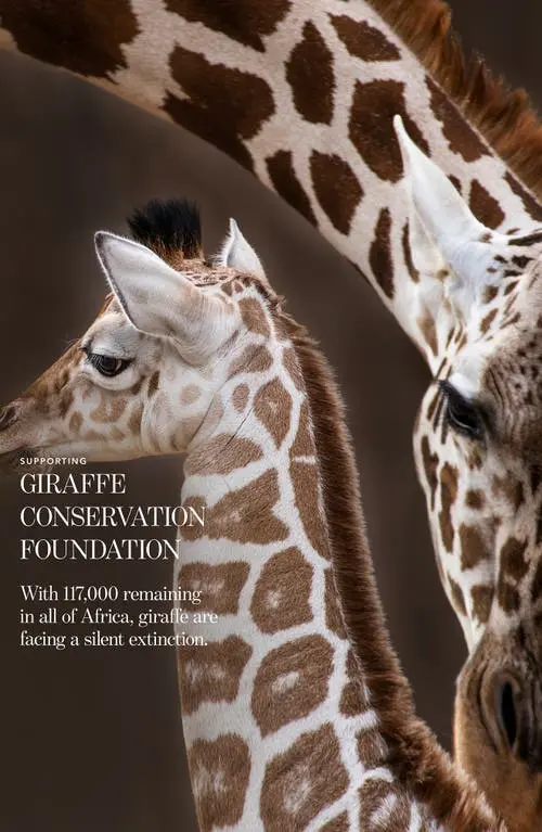 CHANTECAILLE Luminescent Eye Shades - Giraffe