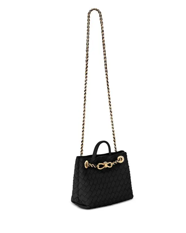 Bottega Veneta Small Andiamo Chain Bag