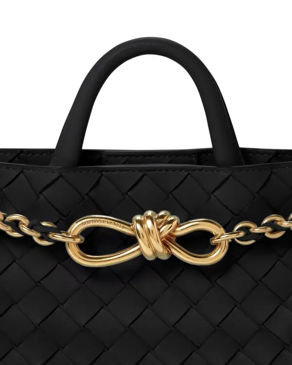 Bottega Veneta Small Andiamo Chain Bag