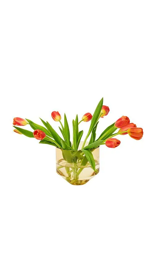 AREAWARE Model Three Planter In Orange - Amber