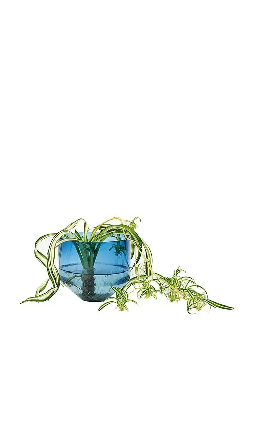 AREAWARE Model Three Planter - Blue