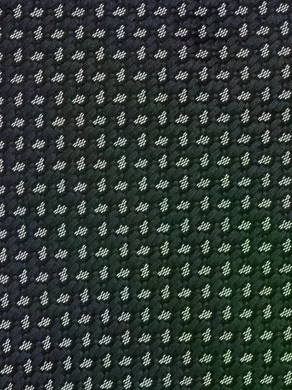 Zegna Silk Neck Tie - Blue