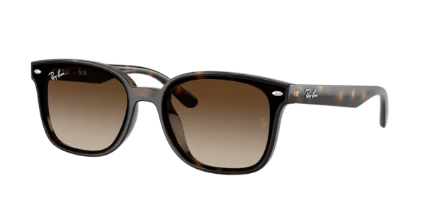 Ray-ban Sunglasses - Gradient Brown
