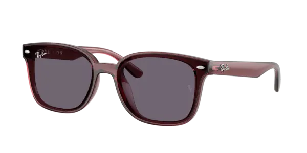 Ray-ban Sunglasses - Violet