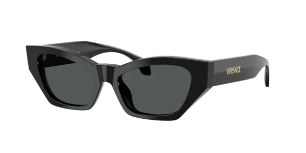 Versace Ve4488u Sunglasses - Dark Grey
