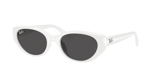 Ray-ban Bio-based Sunglasses - Dark Grey