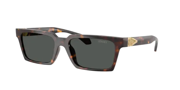 Versace Ve4490u Sunglasses - Dark Grey