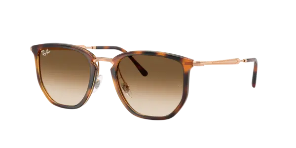 Ray-ban Sunglasses - Clear Gradient Brown