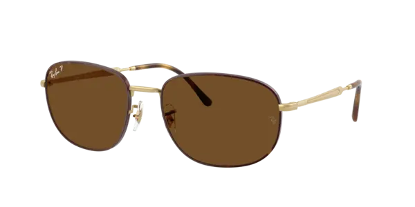 Ray-ban Sunglasses - Polar Brown