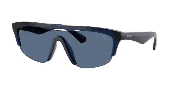 Burberry Burberry Sunglasses