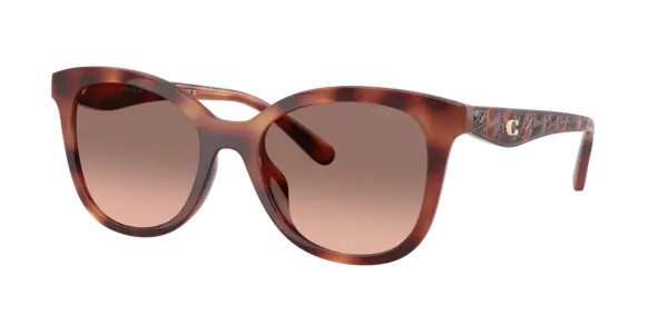COACH Sunglasses - Brown Pink Gradient