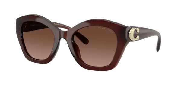 COACH Sunglasses - Brown Gradient Polar
