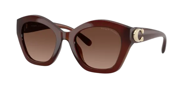 COACH Sunglasses - Brown Gradient Polarized