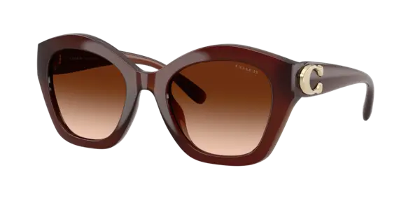 COACH Sunglasses - Brown Gradient