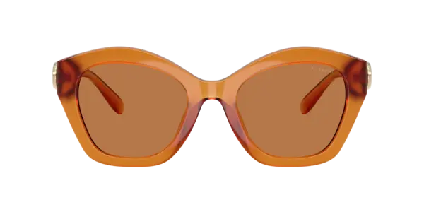 COACH Sunglasses - Brown Solid