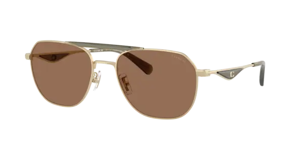 COACH Aviator Sunglasses - Brown Solid