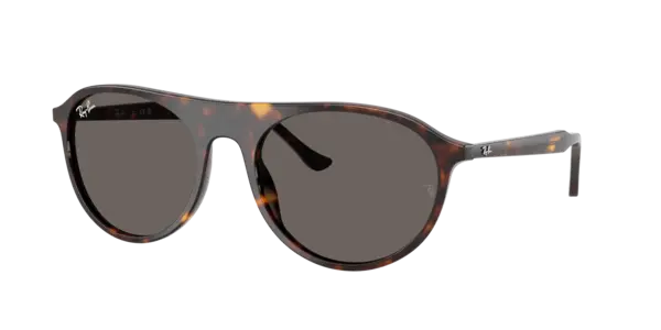 Ray-ban Sunglasses - Clear Gradient Brown
