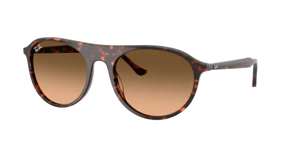 Ray-ban Sunglasses - Pink Gradient Black