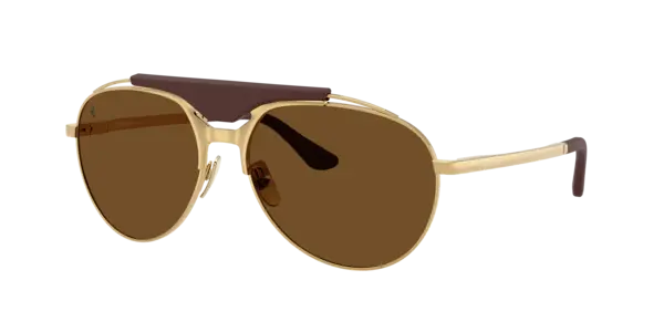 FERRARI Sunglasses - Brown Polarized
