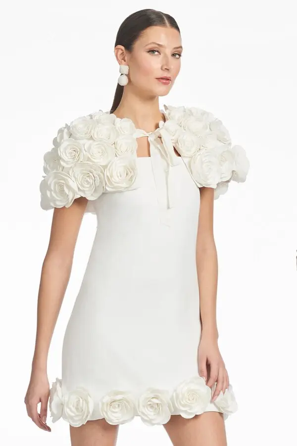 Sachin & Babi Corbin Mini Dress
