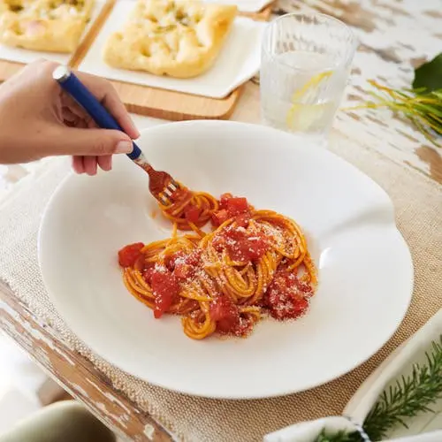 VILLEROY & BOCH Pasta Passion Spaghetti Plate Pair