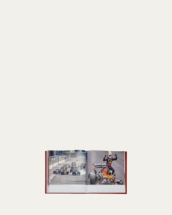 GRAPHIC IMAGE F1 Heroes" Leather-bound Book Giorgio Terruzzi