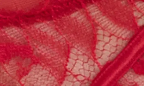 ETAM Mascarade Culotte Tulle & Lace Panties - Red