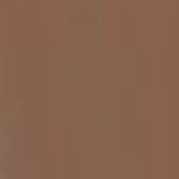Prada Acetate Prb03s Sunglasses - Brown