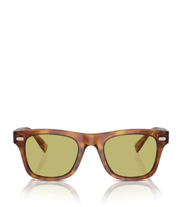 Brunello Cucinelli Acetate Bc4002s Sunglasses - Brown