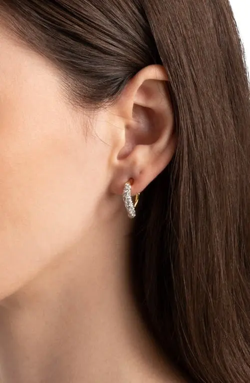 Alexis Bittar Solanales Crystal Hoop Earrings - Crystals
