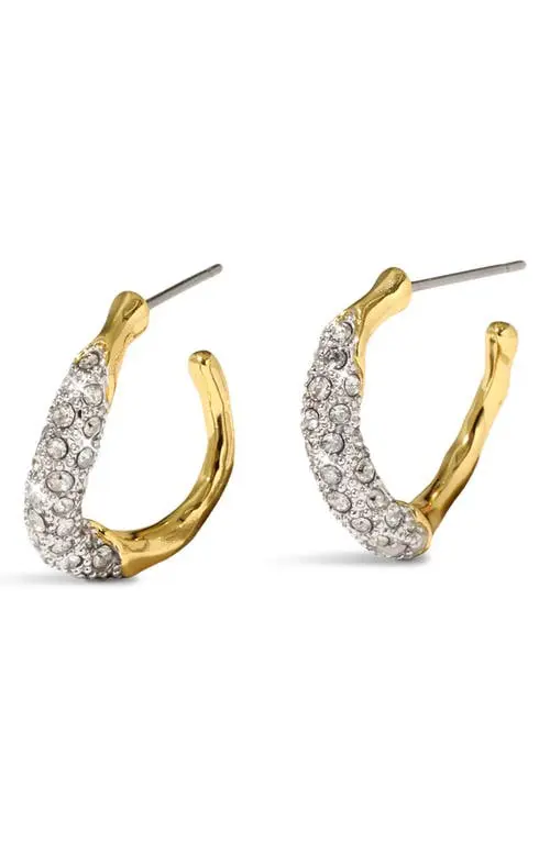 Alexis Bittar Solanales Crystal Hoop Earrings - Crystals
