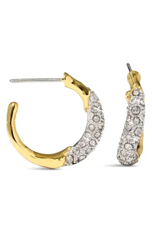 Alexis Bittar Solanales Crystal Hoop Earrings - Crystals
